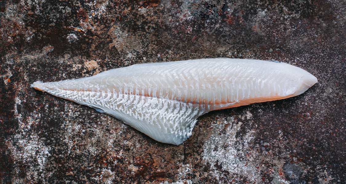 Tout savoir sur l’aiglefin – Les Poissonneries Odessa