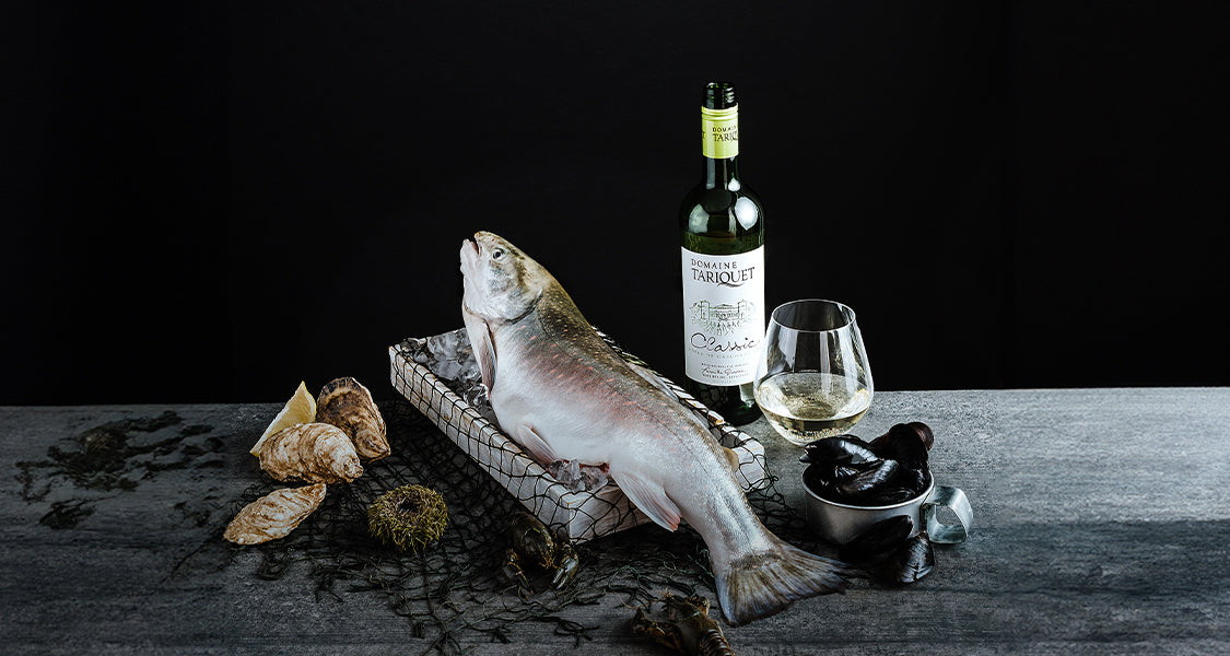 Tout savoir sur l’omble chevalier – Les Poissonneries Odessa