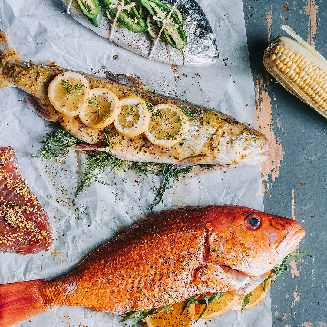 Poissons – Les Poissonneries Odessa