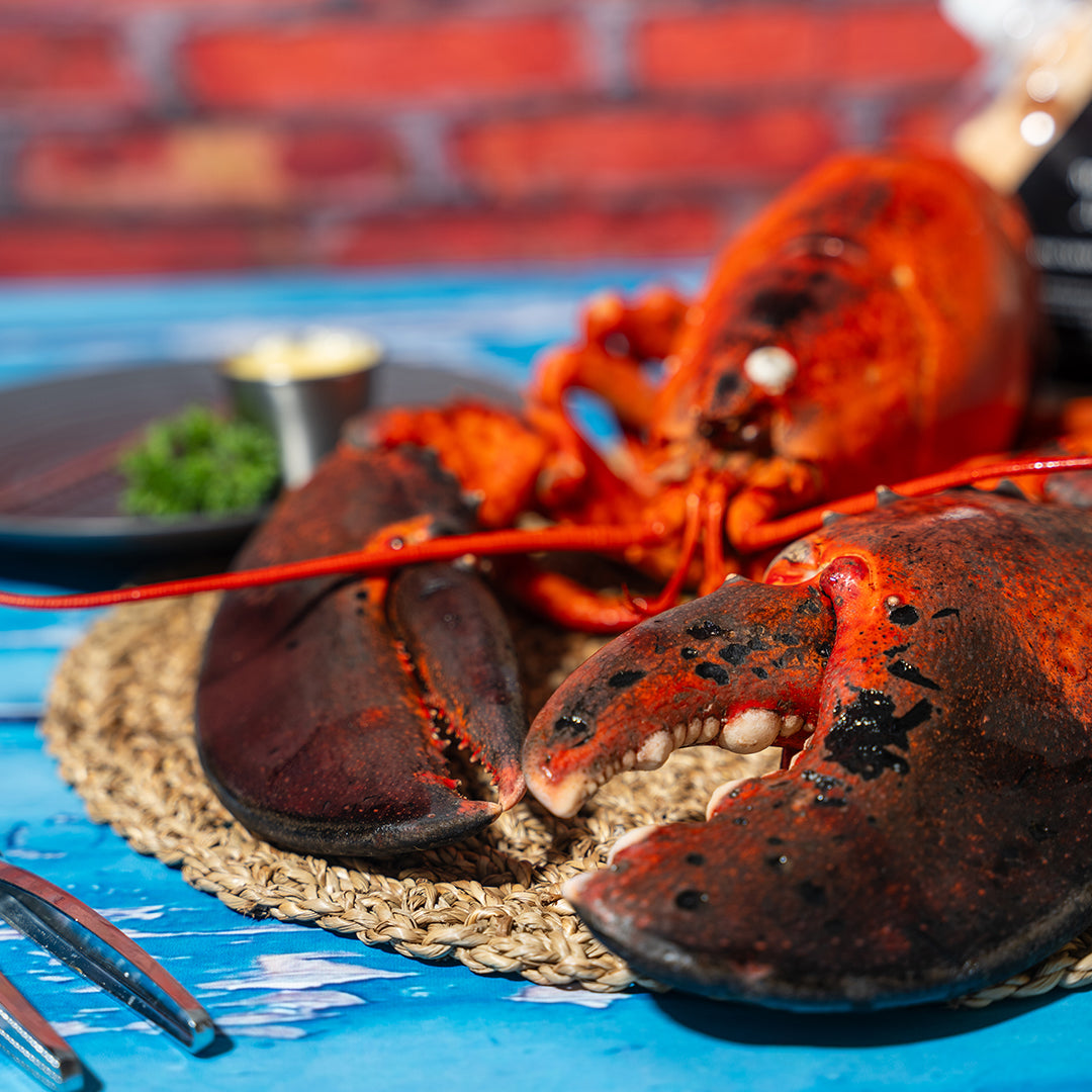 Homard cuit | Achat en ligne – Les Poissonneries Odessa