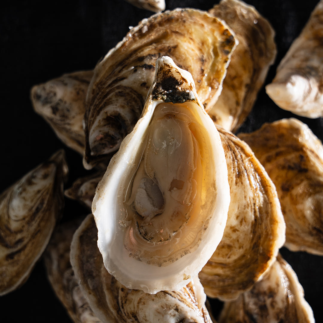 Les Huîtres : Un Trésor de la Mer – Les Poissonneries Odessa