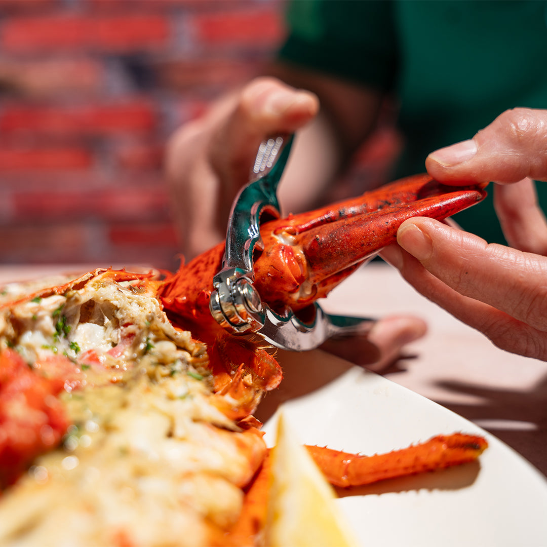 Homard du Québec – Les Poissonneries Odessa