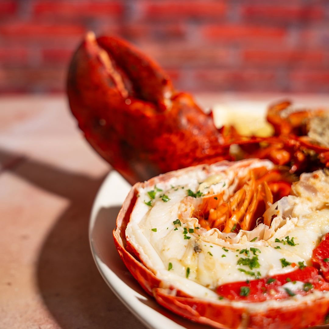 Homard cuit | Achat en ligne – Les Poissonneries Odessa